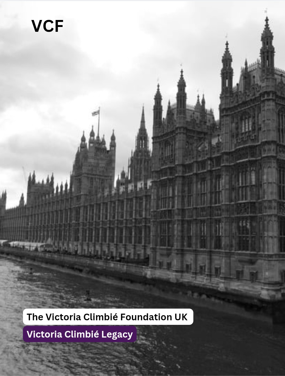 Before we rewrite safeguarding law again, we must deliver what Victoria ...